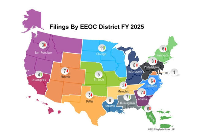 Frozen Pipeline: Examining the EEOC’s Quietest Year in a Decade ...